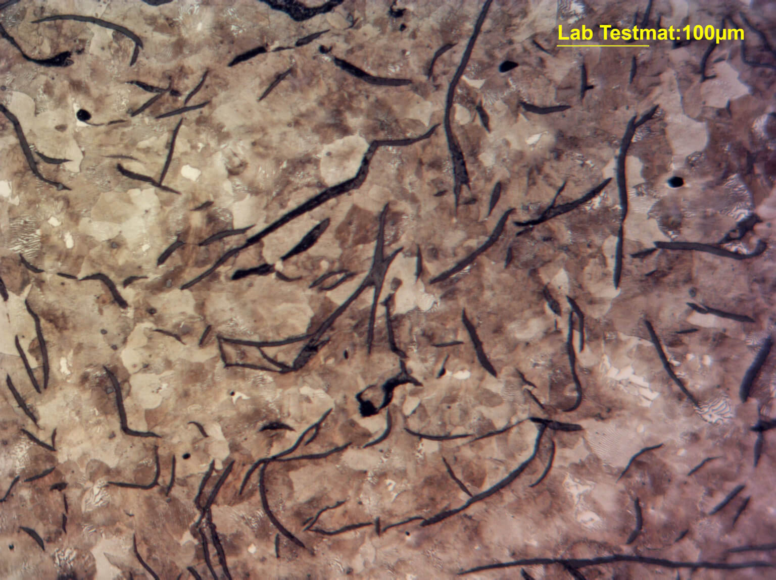 Classificação da Grafita (1 à 4) Metalografia dos Ferros Fundidos